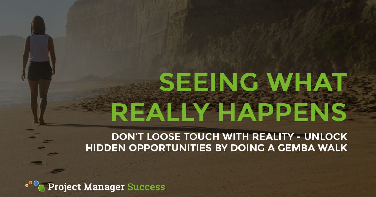 How to Do a Gemba Walk to Unlock Reality » Project Manager Success